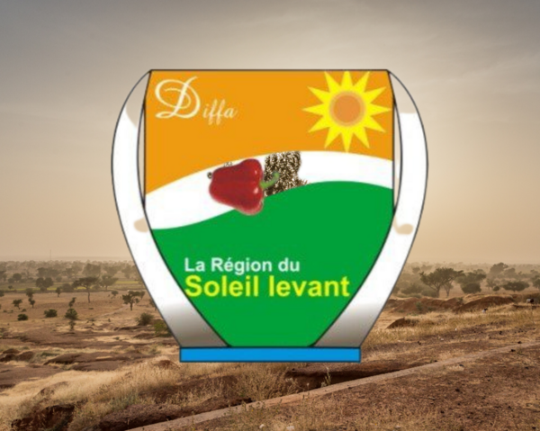 Un projet de la Région de Diffa (Niger) cofinancé par le ministère ...